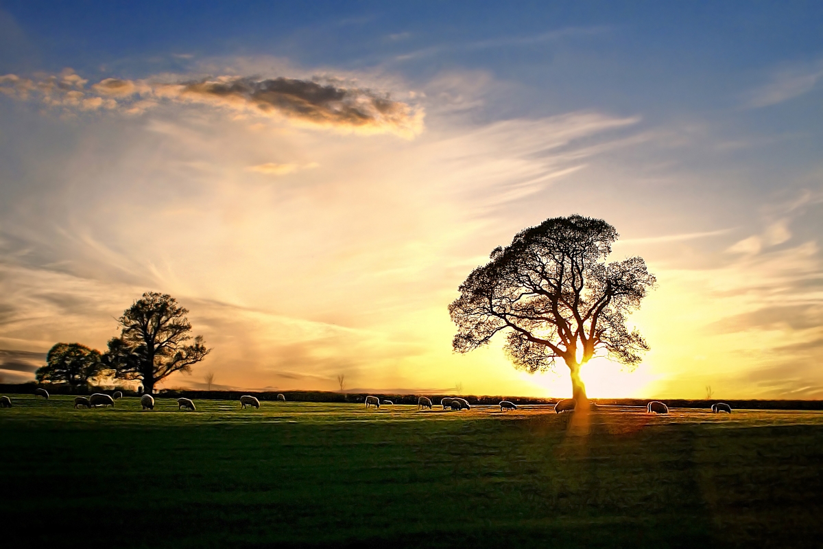 The 2016 Compton Dando Village Calendar is now available – Compton Dando